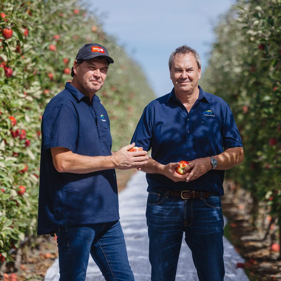 Growing Envy™ | Envy Apple